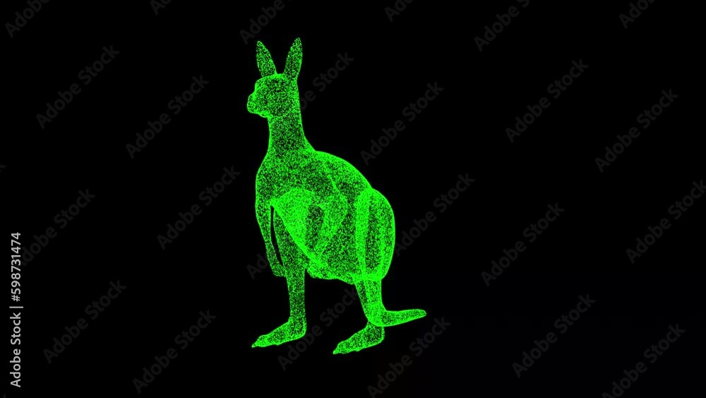 3D kangaroo rotates on black background. Object made of shimmering ...