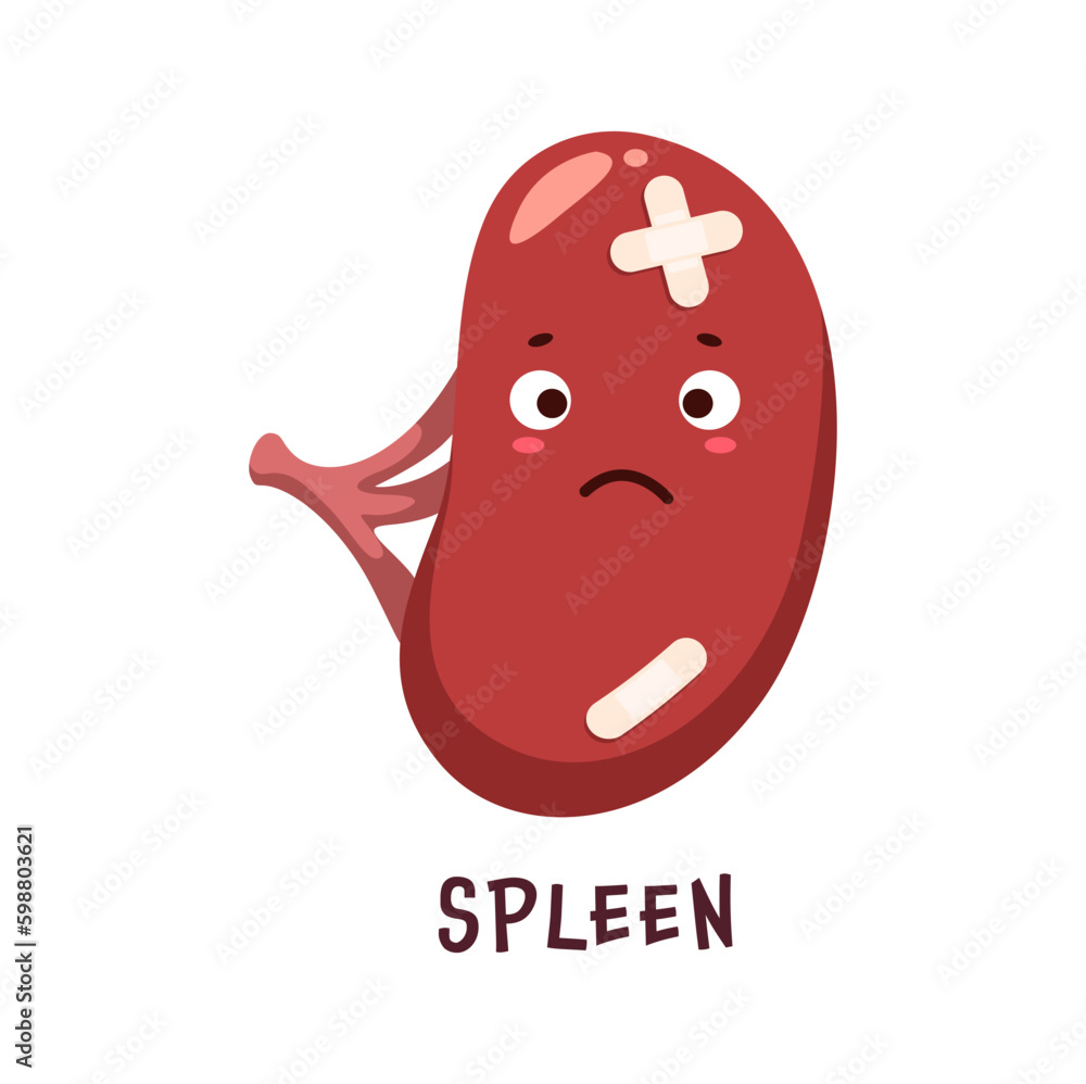 Spleen, sick body organ character injured or unhealthy, cartoon vector ...
