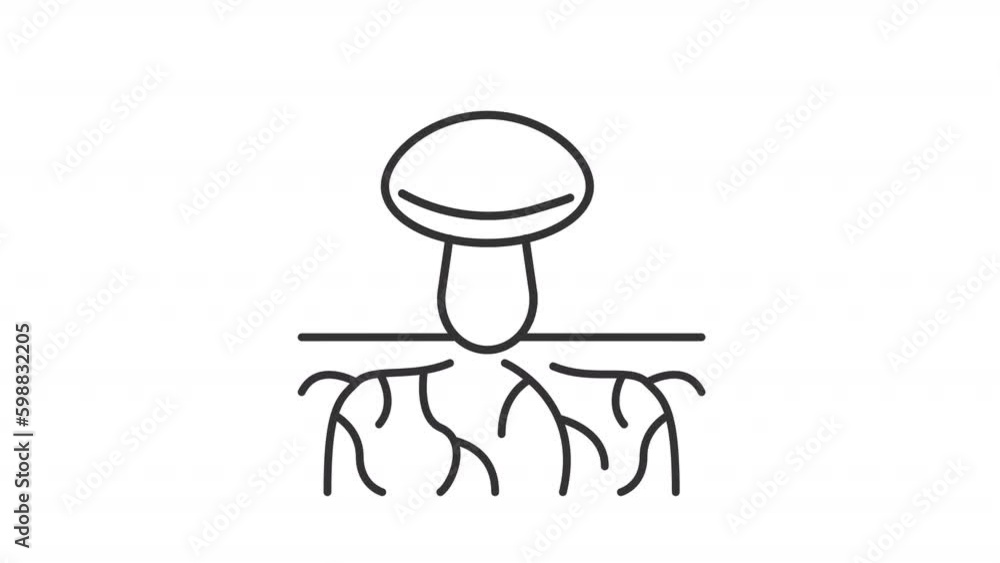 Animated mycelium linear icon. Growing roots line animation. Mushroom ...