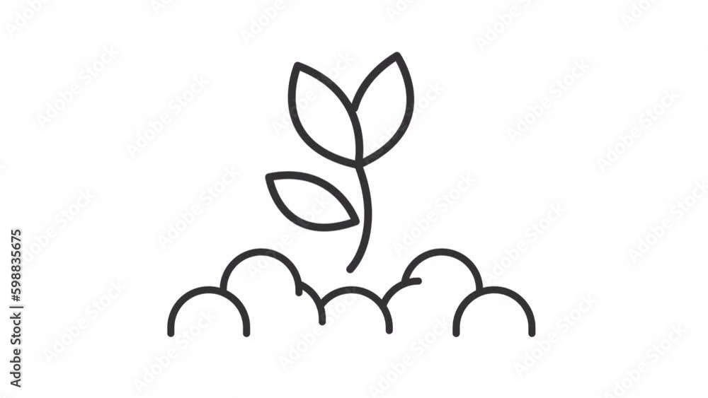 Plant growth line animation. Animated plant sprouting from soil. Plant ...