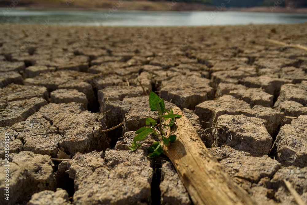 Scorched earth and earth clods are seen on dry land caused by drought and lack of rain due to ...