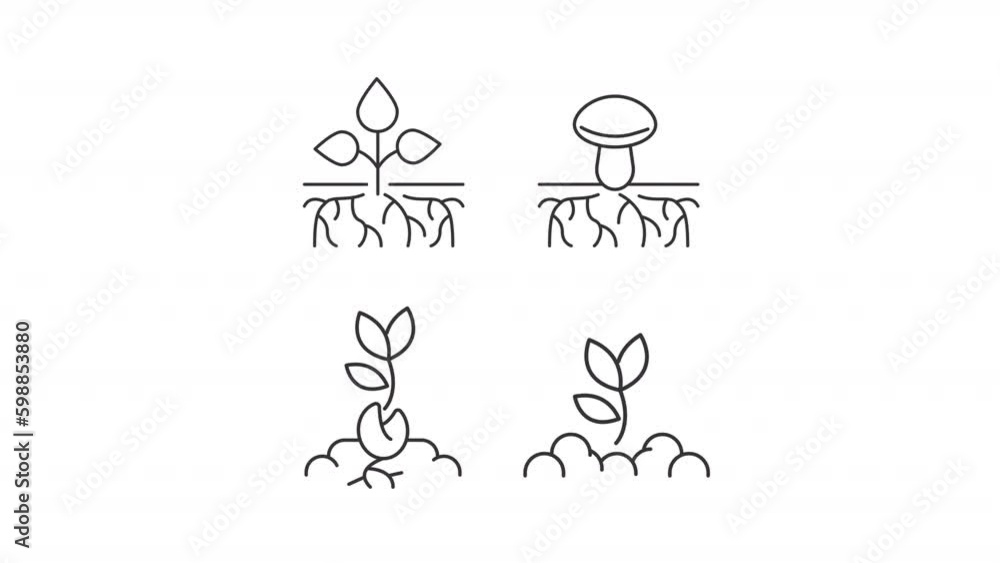 Root systems icon animation set. Animated plants with growing roots ...