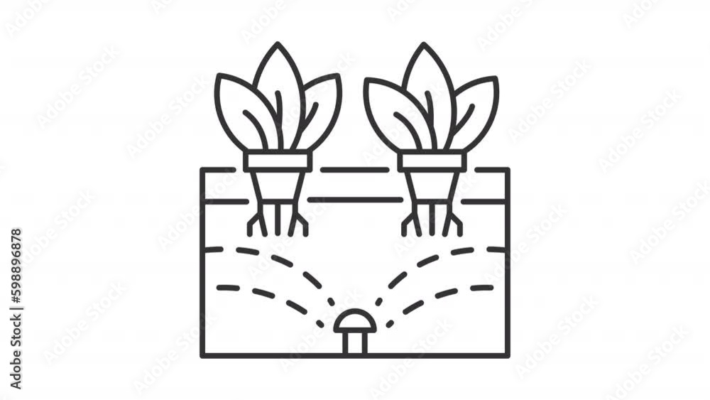 Animated aeroponics linear icon. Water sprinkling on plant roots ...
