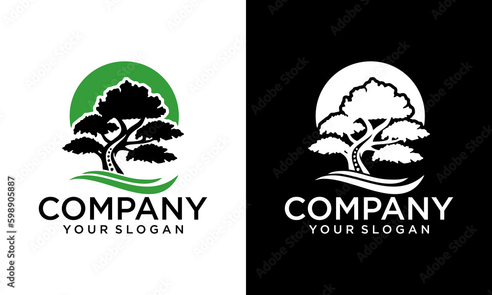 Spine Chiropractic Tree Life Logo Design Modern Logo Design. Spinal ...