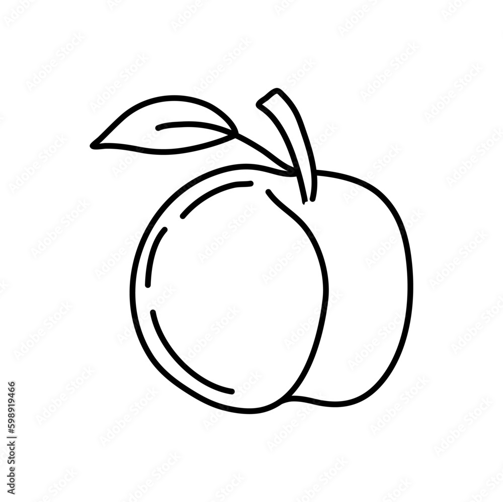 Peach sketch. Beautiful cartoon black and white outline. Hand drawn ...