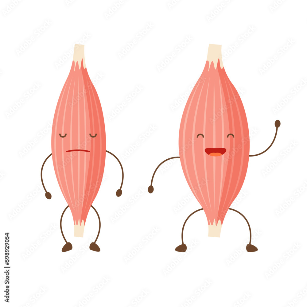 Healthy happy muscle and weak sad muscle. Strong and pain muscle ...