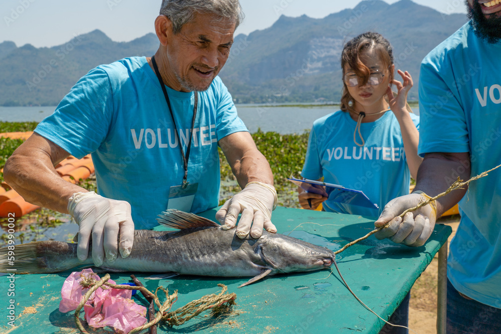 team of volunteers rescues the fish by pulling trash out of its mouth ...