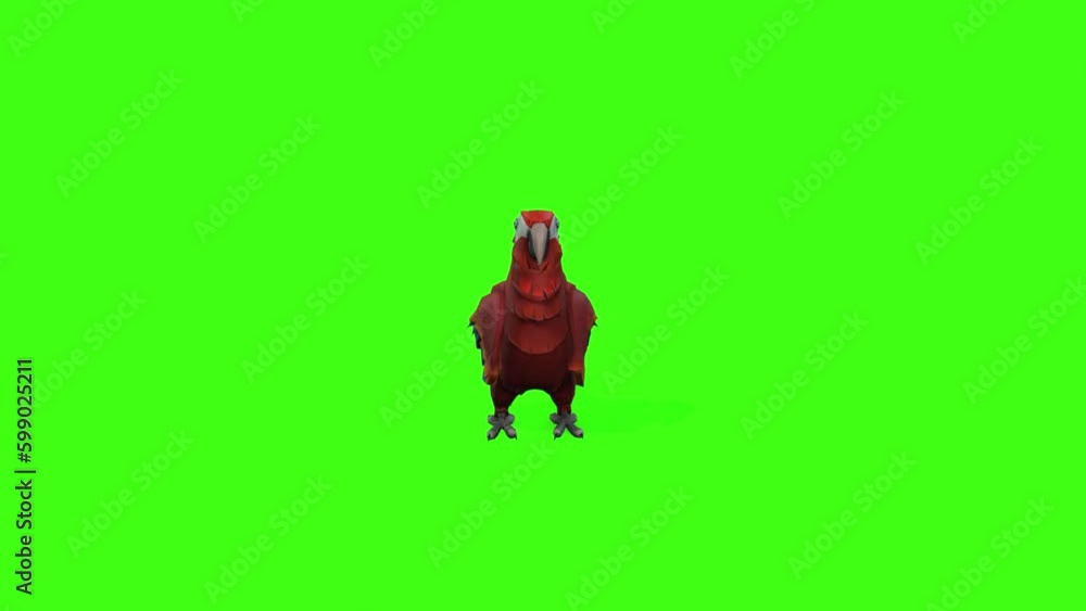 front view of a red macaw parrot dancing 3d animation across a green ...