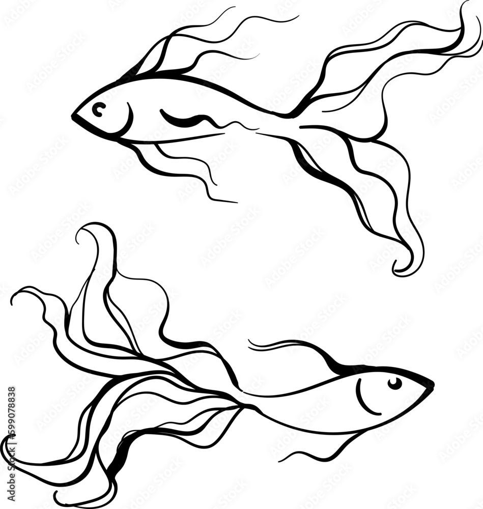 Image of a fish, contours. Painted abstract fish, beautiful lines ...