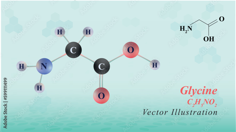 Molecular Structure of Glycine Vector Illustration Stock Vector | Adobe ...