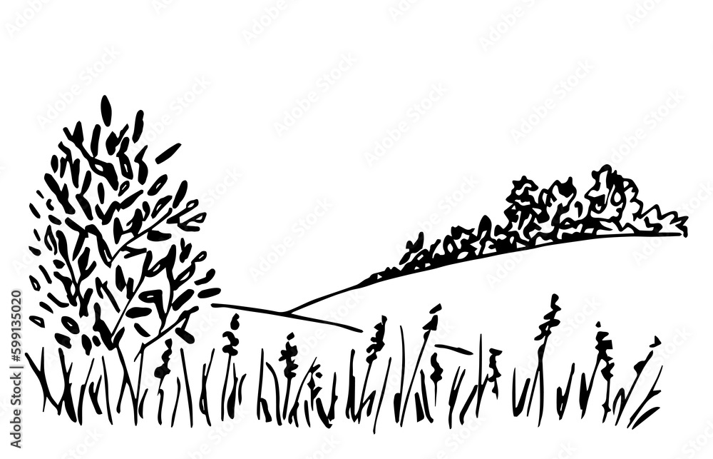 Simple black outline vector drawing. Summer landscape, nature. Hills ...