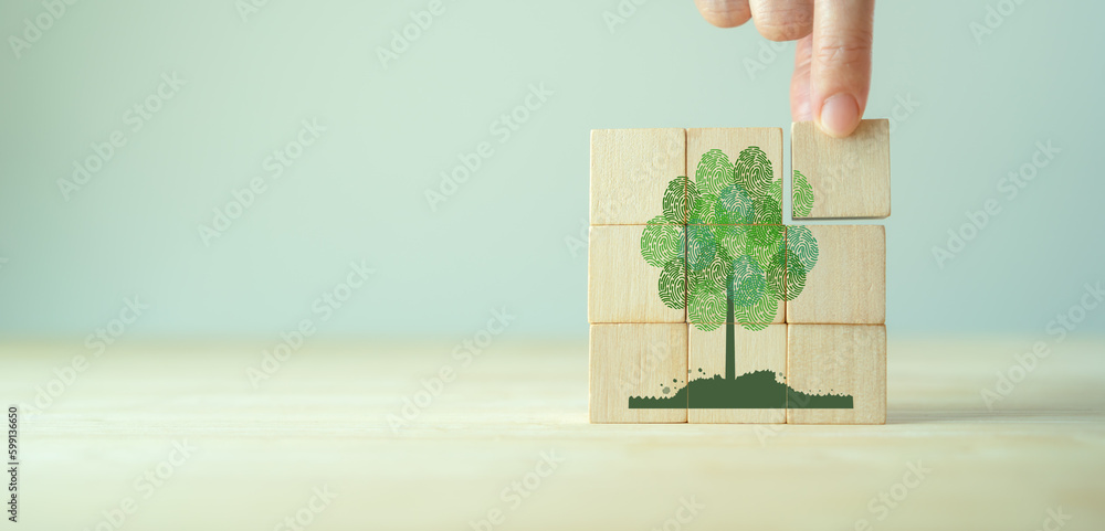 Abstract tree with different fingerprints leaves isolated on wooden ...