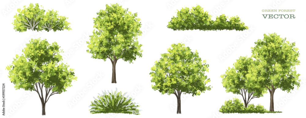 Poster Vector watercolor green tree or forest side view isolated on ...