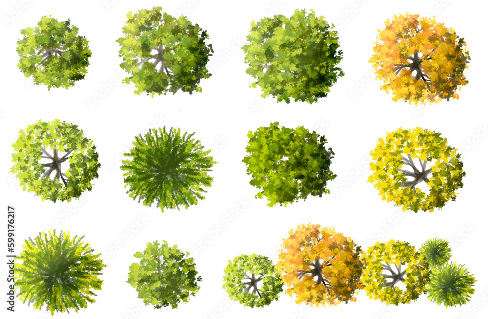 Vector watercolor of blooming tree top view isolated on white ...