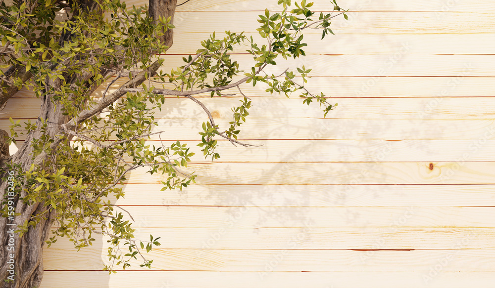 wood grain background And trees with shadows that hit Old wood grain ...