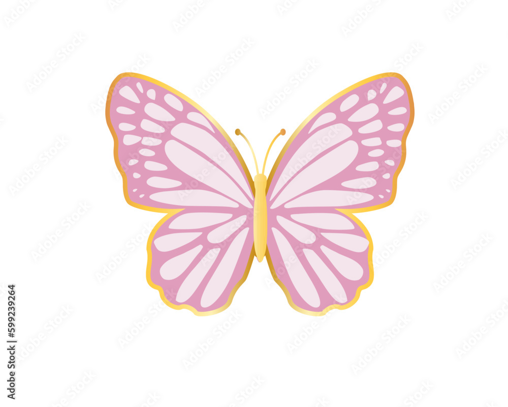 Pink butterfly hand drawn design Stock Vector | Adobe Stock