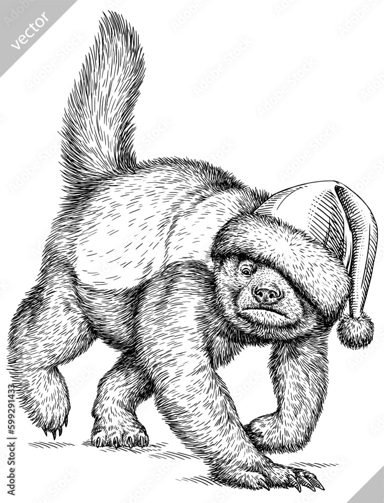 Vintage engraving isolated honey badger set dressed christmas ...