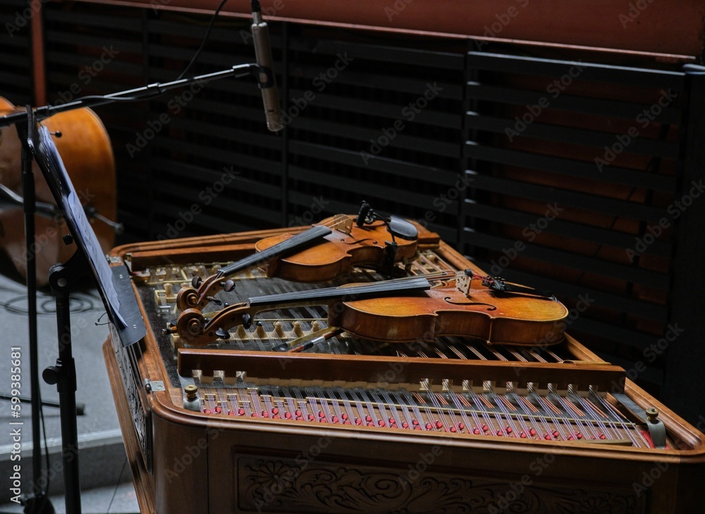 Folk musical string instruments - dulcimer, violin Stock Photo | Adobe ...