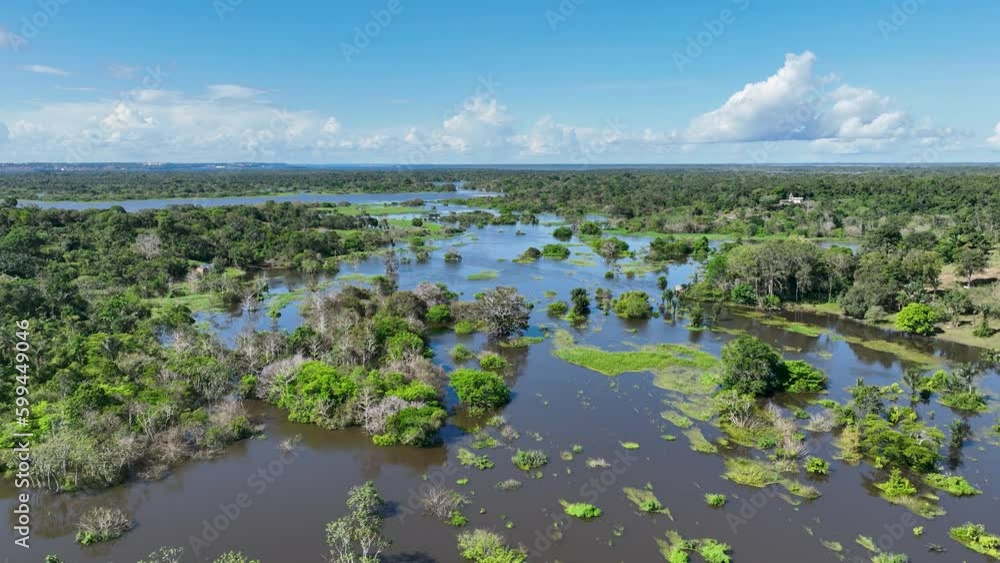 Amazonian Rainforest At Manaus Amazonas Brazil. Riverside Riverfront ...