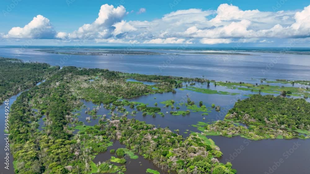 Vidéo Stock Amazonian Rainforest At Manaus Amazonas Brazil. Riverside ...