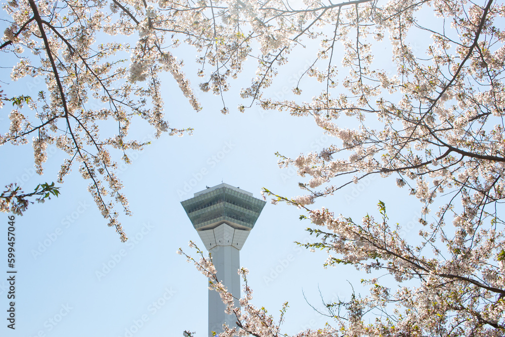 Beautiful Spring landscape of Goryokaku Tower surrounding with full of ...