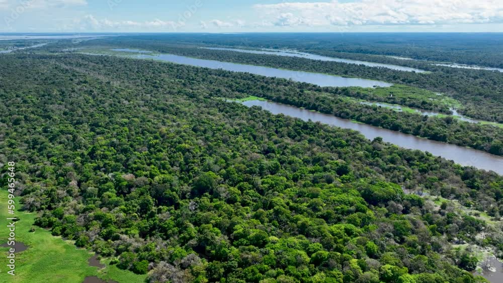 Amazon Rainforest At Manaus Amazonas Brazil. Forest Landscape Rural ...