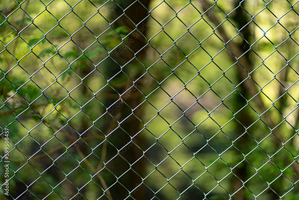 Fence in front of the blurred forest. Pattern and texture boket ...