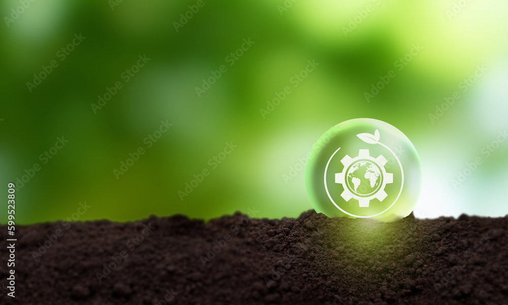 Natural climate solutions concept. Action for avoid greenhouse gas ...