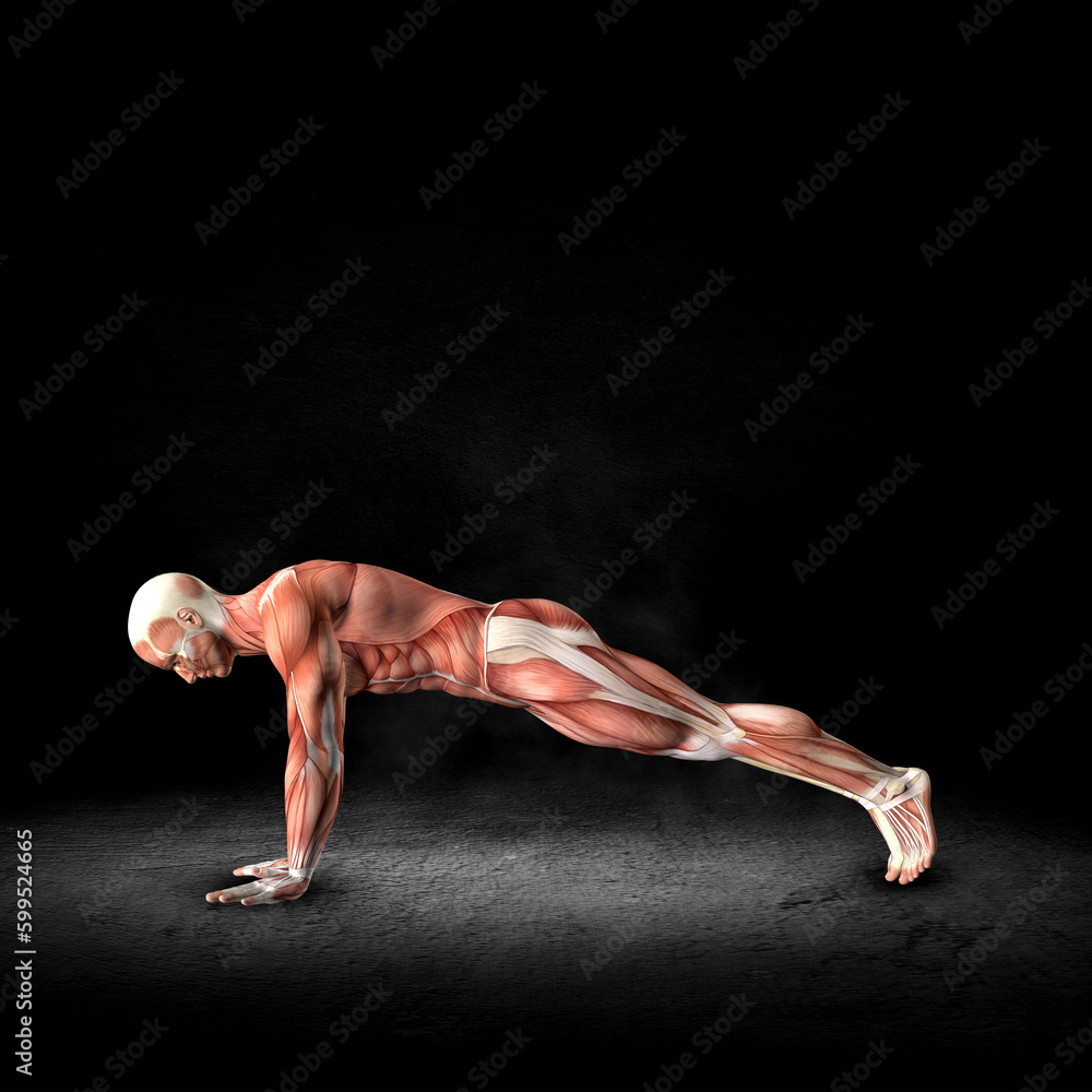 3D male medical figure with muscle map in push up pose in grunge ...