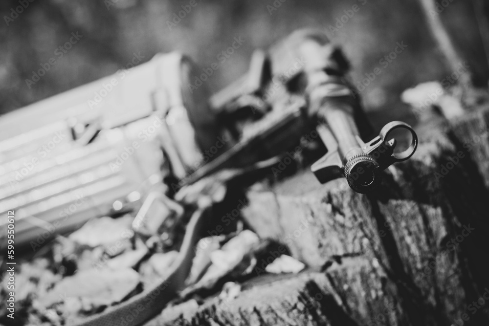 Foto de MP-40 submachine gun with a gas mask cover on a stump do Stock ...