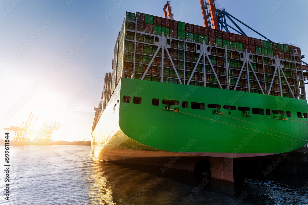 Foto de Scenic view giant cargo container ship loading Hamburg city ...