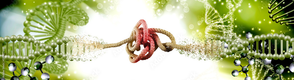 DNA chain with a break in the middle part, while instead of the DNA ...