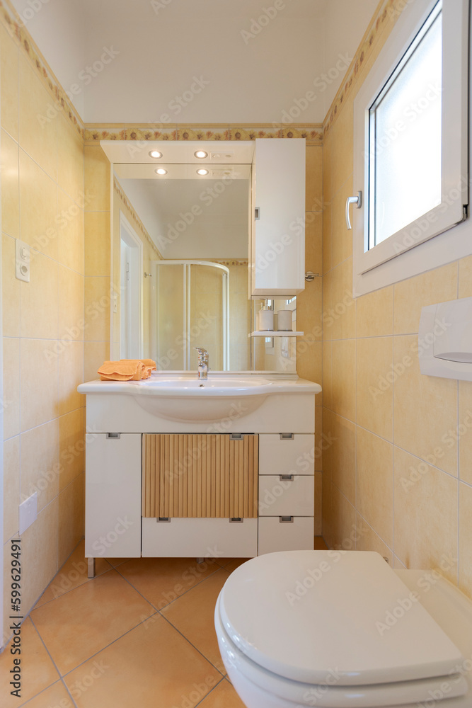 Front view of the bathroom cabinet with sink, mirror and soap. Behind ...
