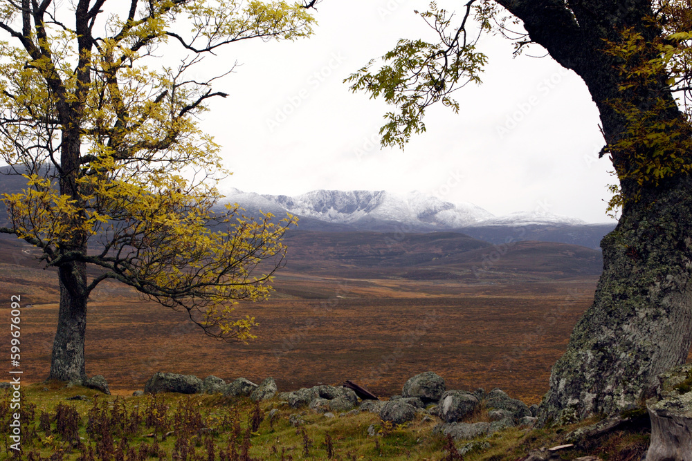 Scottish moors - Lochnagar moutain range in the distance - Balmoral ...