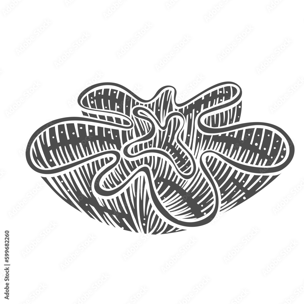Stony coral glyph icon vector illustration. Stamp of Montipora ...