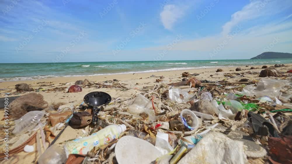 Plastic Debris On The Tropical Sea Shore. Problems of Ecology and ...