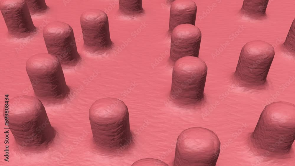 Video „Microbiota, gut bacteria, probiotics helping the growth of ...