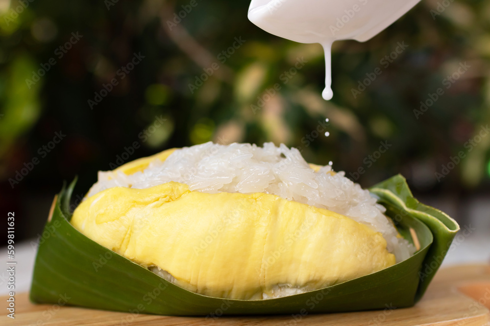 Durian with sweet sticky rice and coconut milk on top (Khao Niao Thu ...