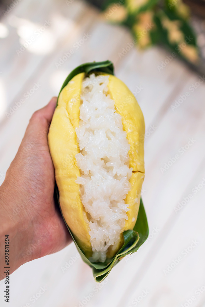 Durian with sweet sticky rice and coconut milk on top (Khao Niao Thu ...