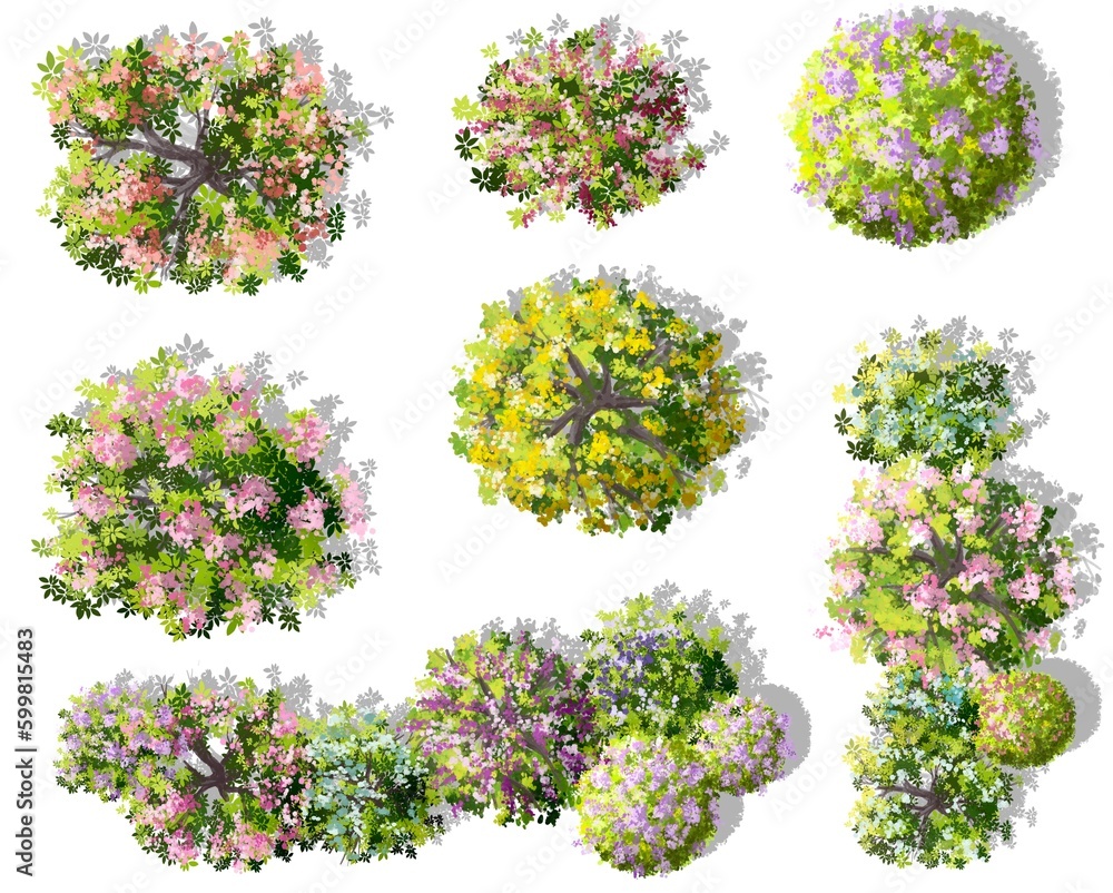 watercolor of blooming tree top view isolated on white background for ...