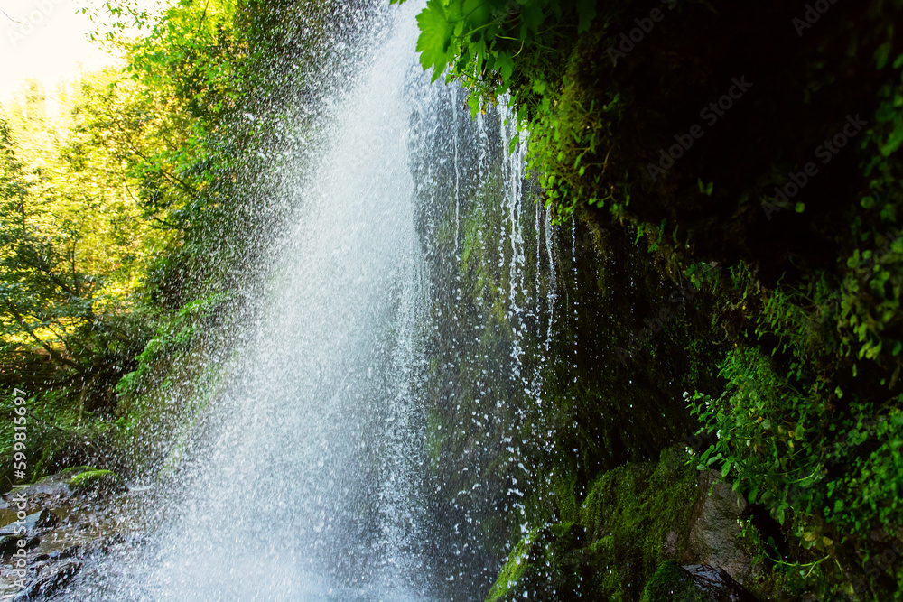 waterfall surrounded by lush greenery, water stream falls from above ...
