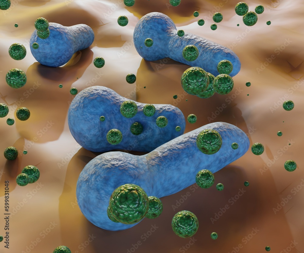 Clostridium is a rod shape bacterium that produces dangerous toxins ...