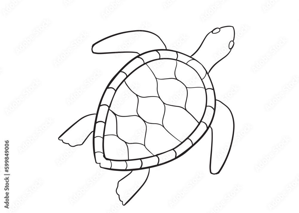 Turtle illustration. Coloring page vector Isolated white background ...
