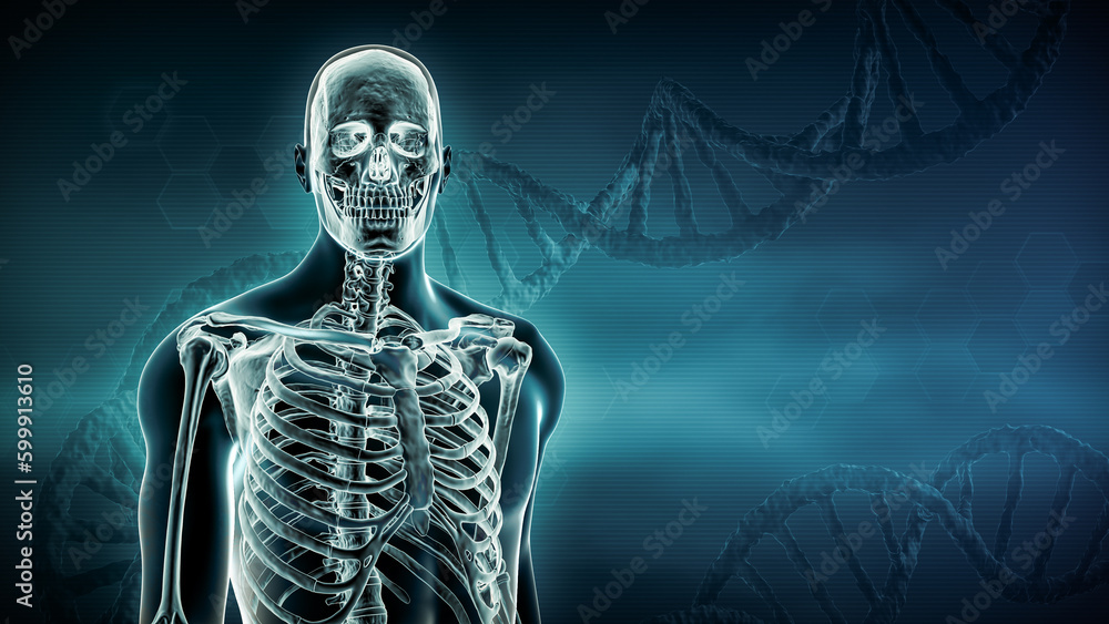 DNA strands and x-ray of human body and skeleton 3D rendering ...