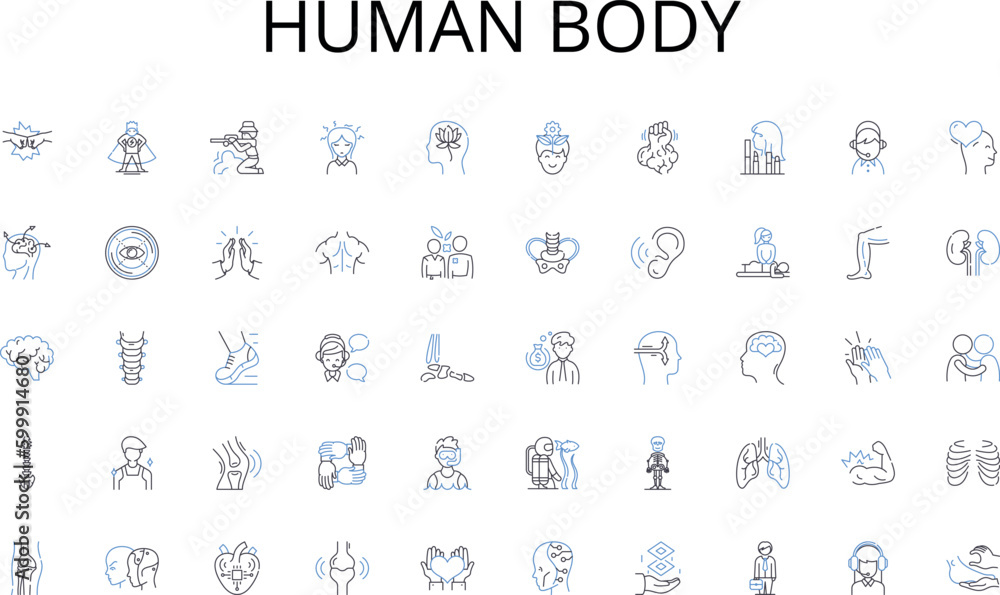 Human body line icons collection. Nerking, Resume, Interview, LinkedIn ...