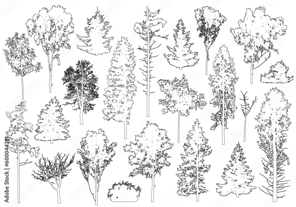 Set of coniferous and deciduous trees for architecture and landscape ...