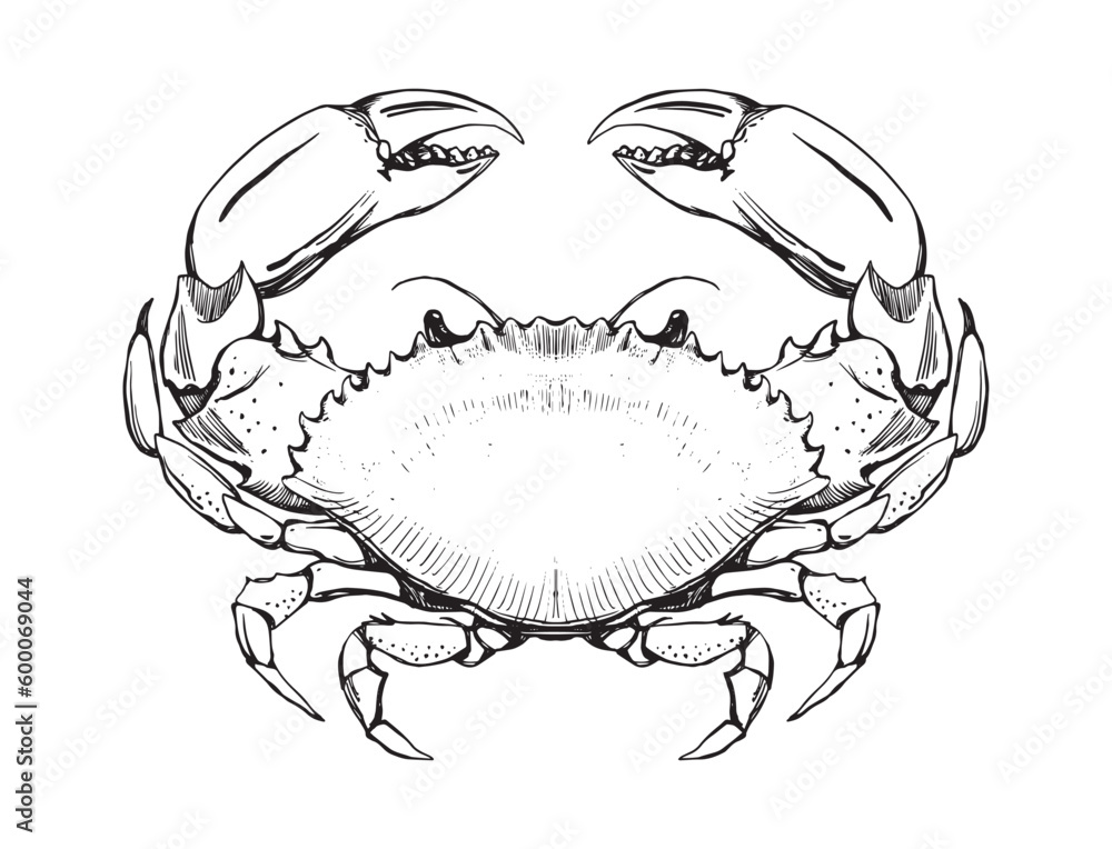 Cancer Sign Crab
