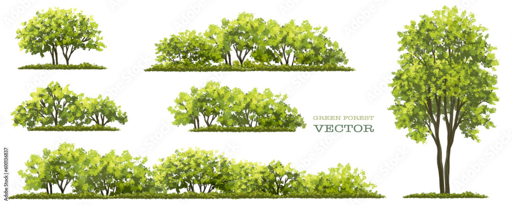 Vector of green grass or shrub isolated on white background,tree ...