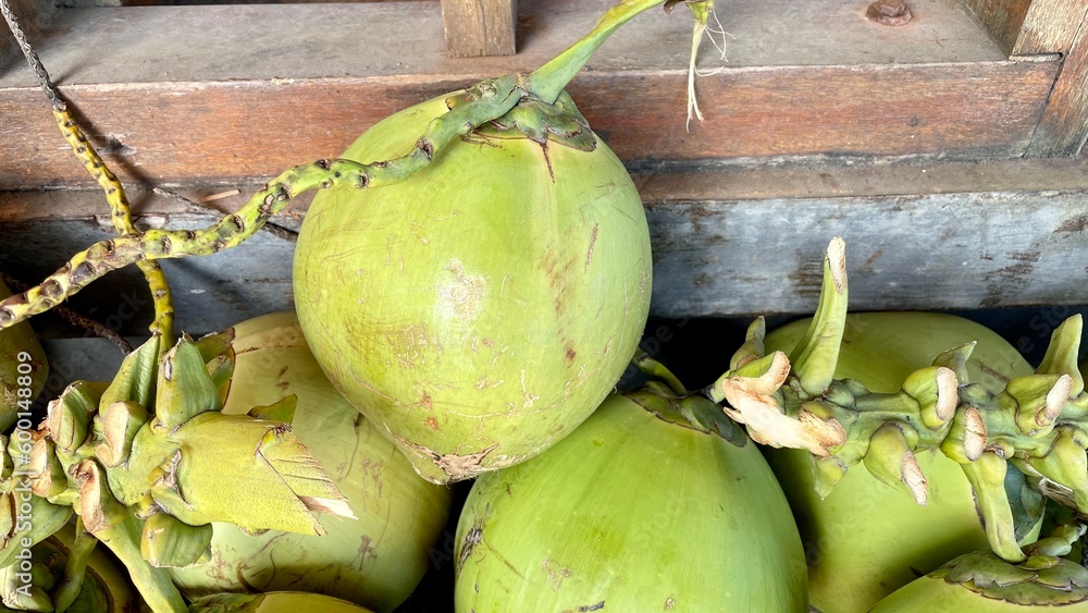 bunch of green coconut, unpeeled on its stem. Fresh green color. young ...
