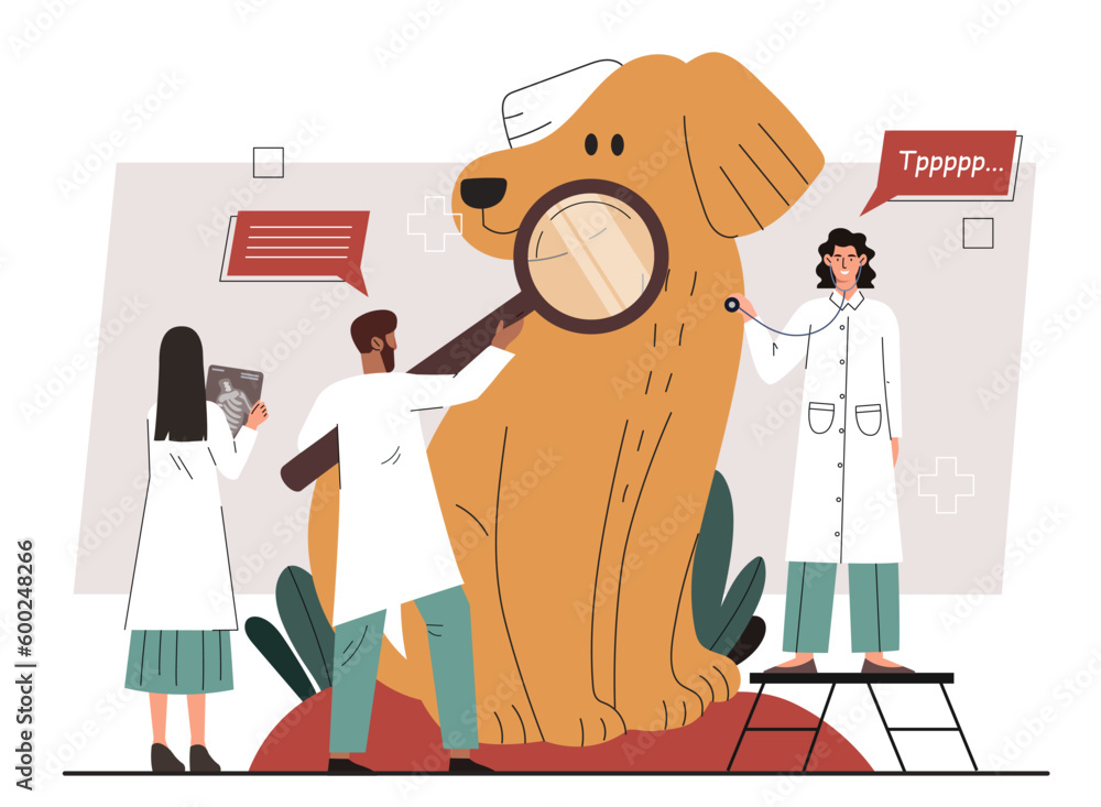 Veterinarians examining dog. Women and man in medical gowns with ...